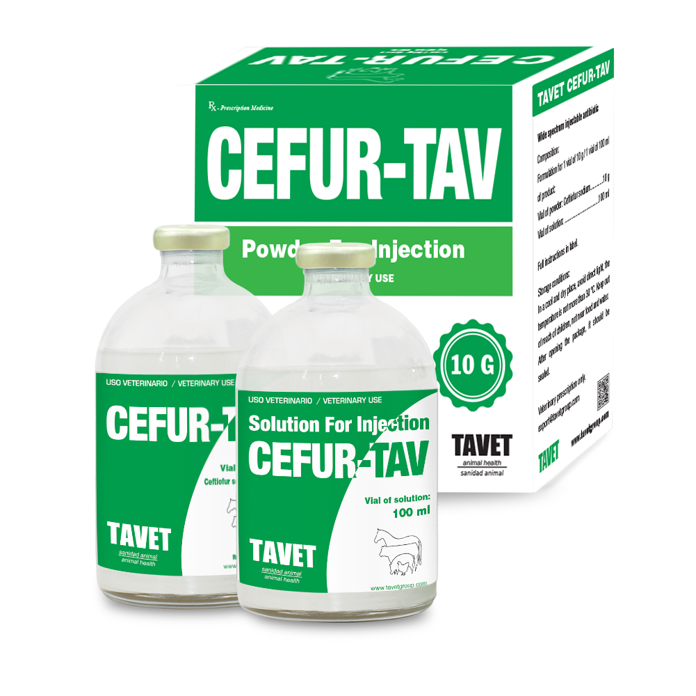 Trang chủ - Vietvet